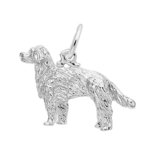 Sterling Silver Golden Retriever Dog 3D Charm | REEDS Jewelers