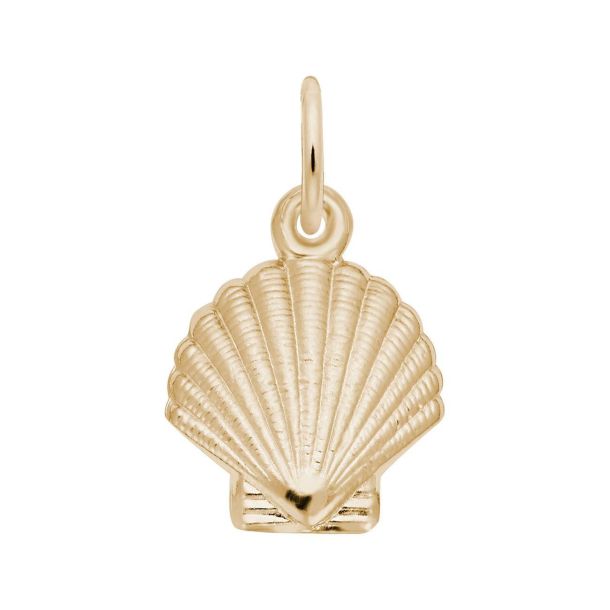 14k Yellow Gold Shell Flat Back 2D Charm | REEDS Jewelers