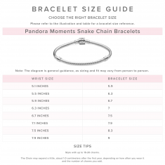 Pandora Charm Bracelet Jewelry Online 20243 Pandora Bracelets Rose Gold Plated REEDS Jewelers
